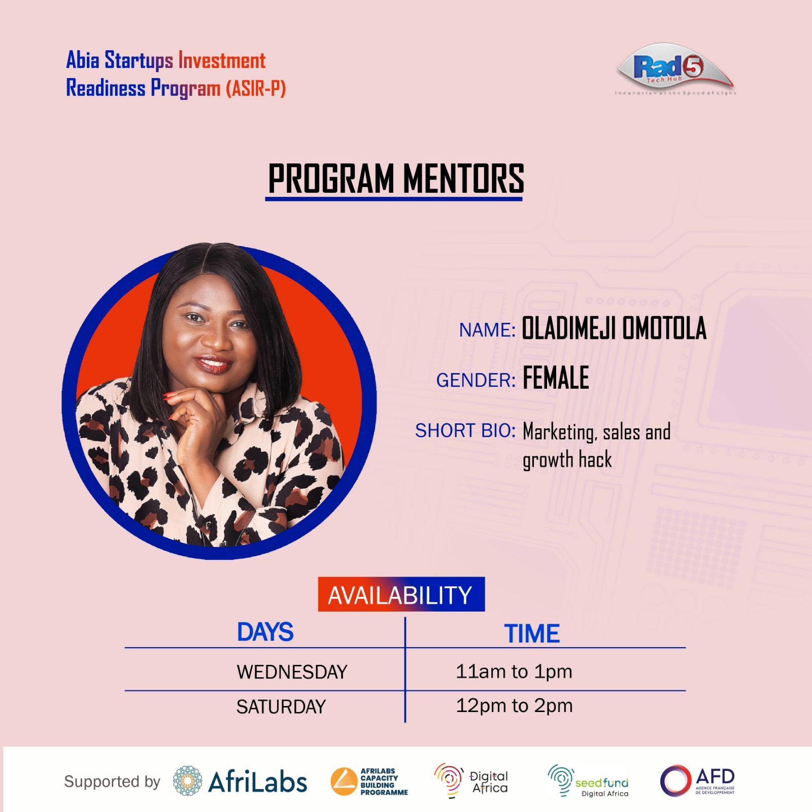 Introducing the Remarkable Mentors of the Abia Startups Investment ...